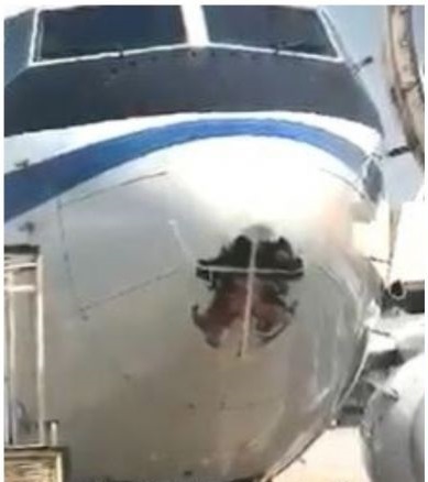 PICTURE: Air China 737 radome damaged in bird strike